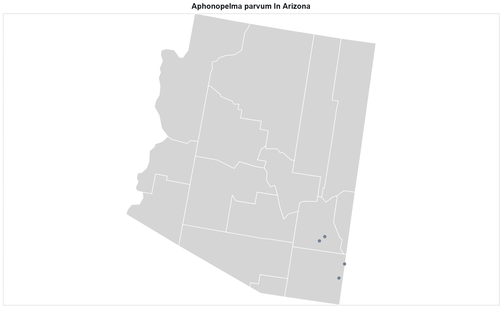 14 Tarantulas In Arizona (Pictures and Range Map)