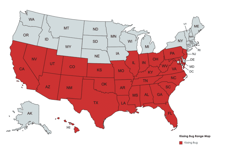 12 Bugs That Look Like Stink Bugs (but They Aren't)