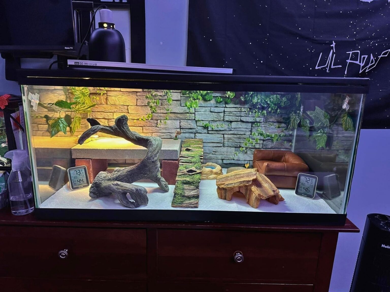 50 Best Bearded Dragon Enclosure Ideas - ThePetEnthusiast