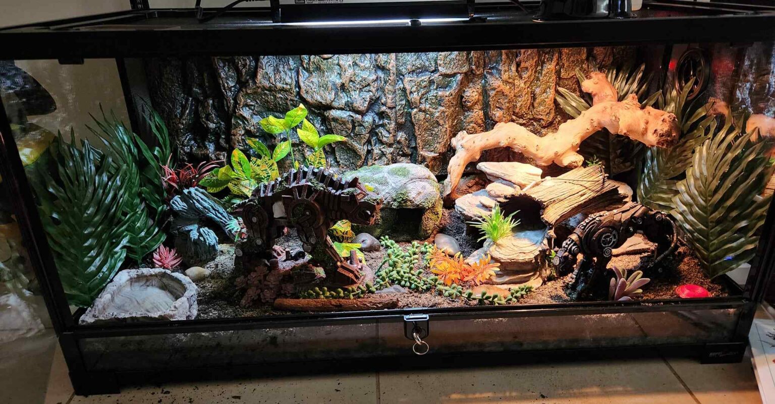 36 Leopard Gecko Enclosure Ideas