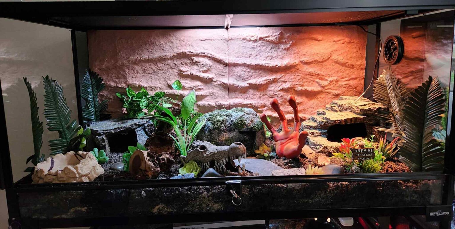 36 Leopard Gecko Enclosure Ideas