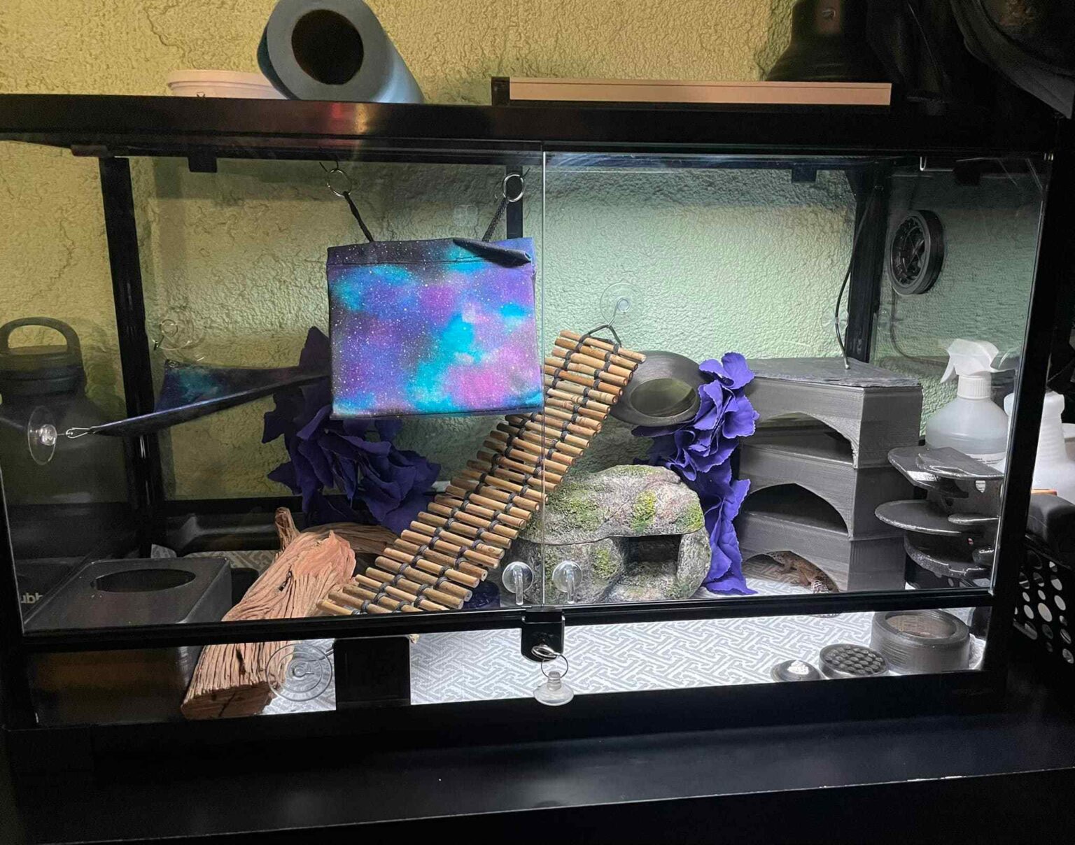 36 Leopard Gecko Enclosure Ideas