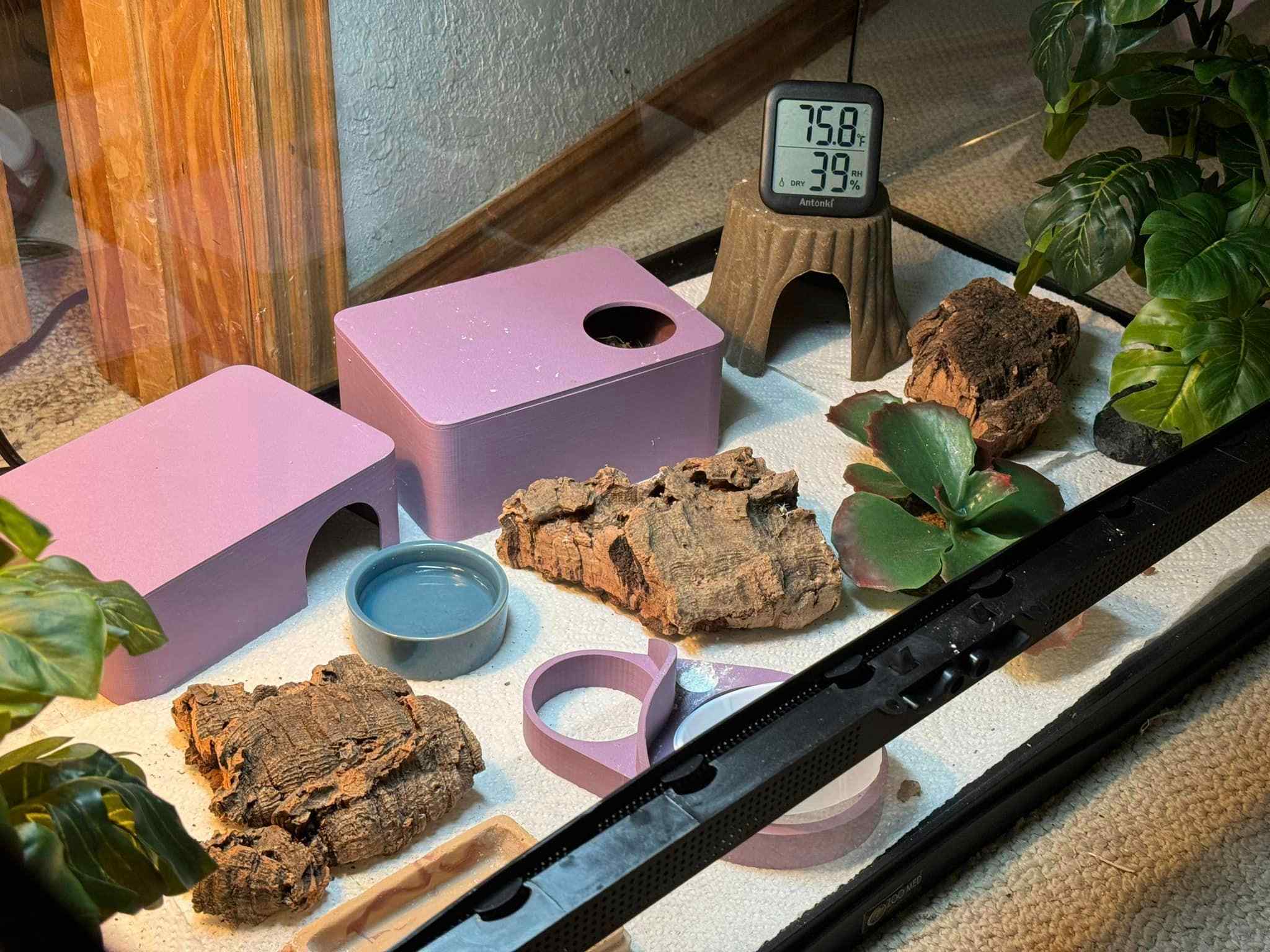 36 Leopard Gecko Enclosure Ideas