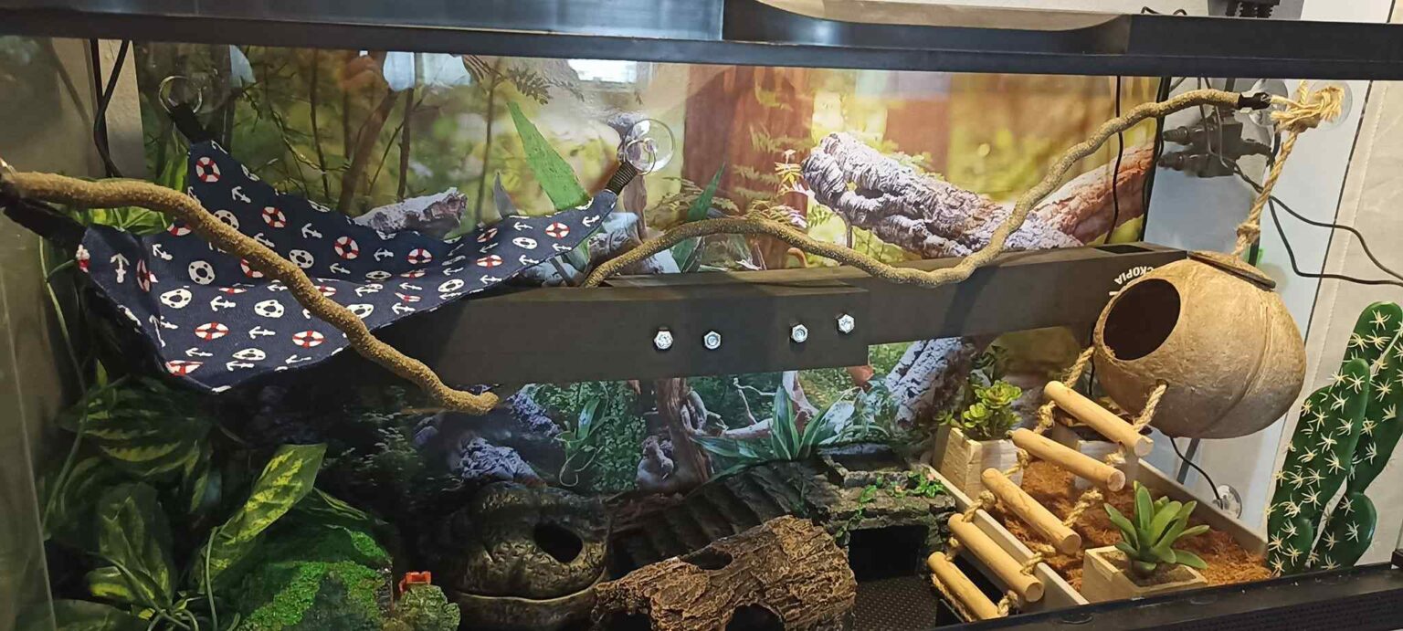 36 Leopard Gecko Enclosure Ideas