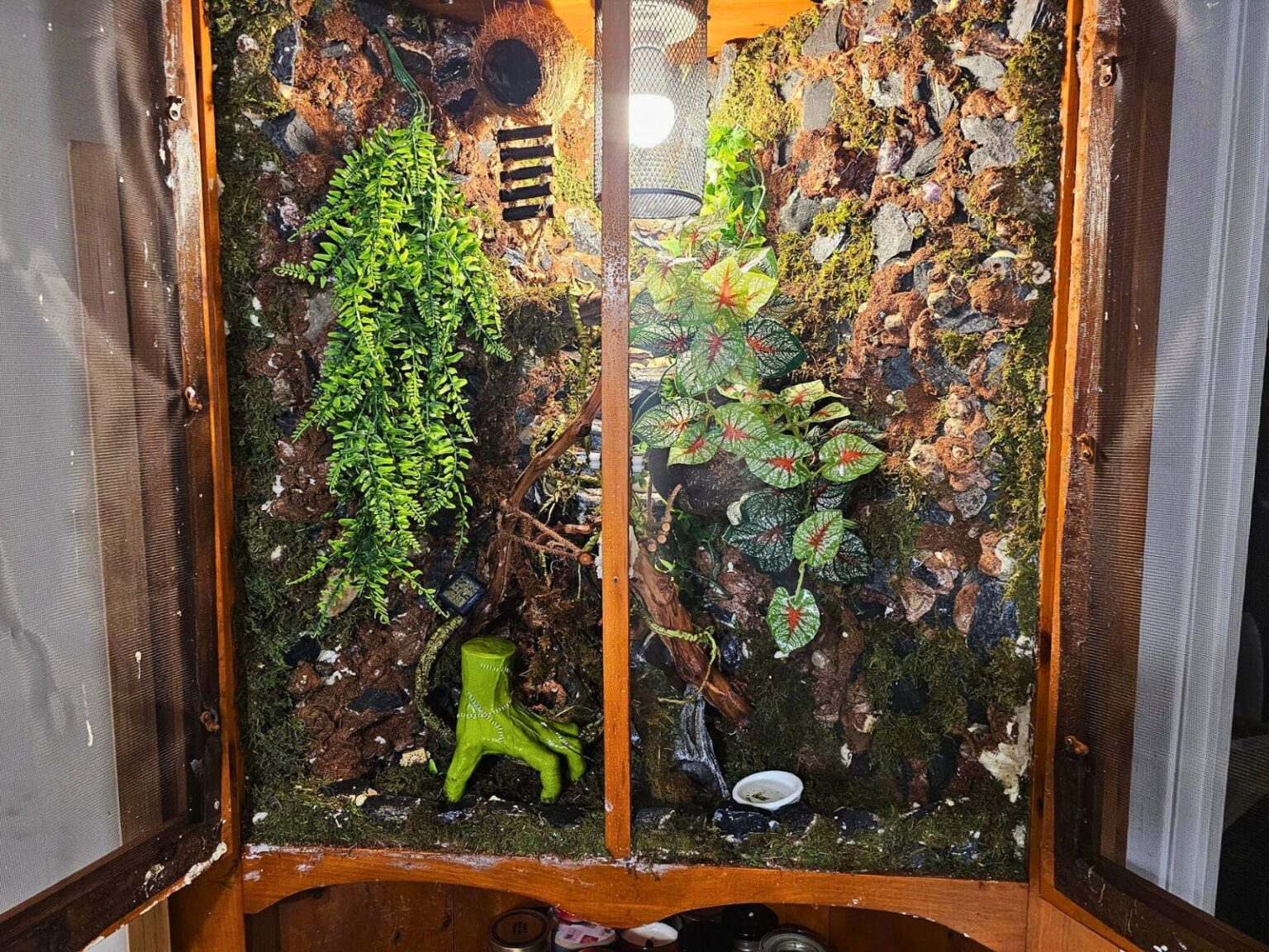 28 Crested Gecko Enclosure Ideas
