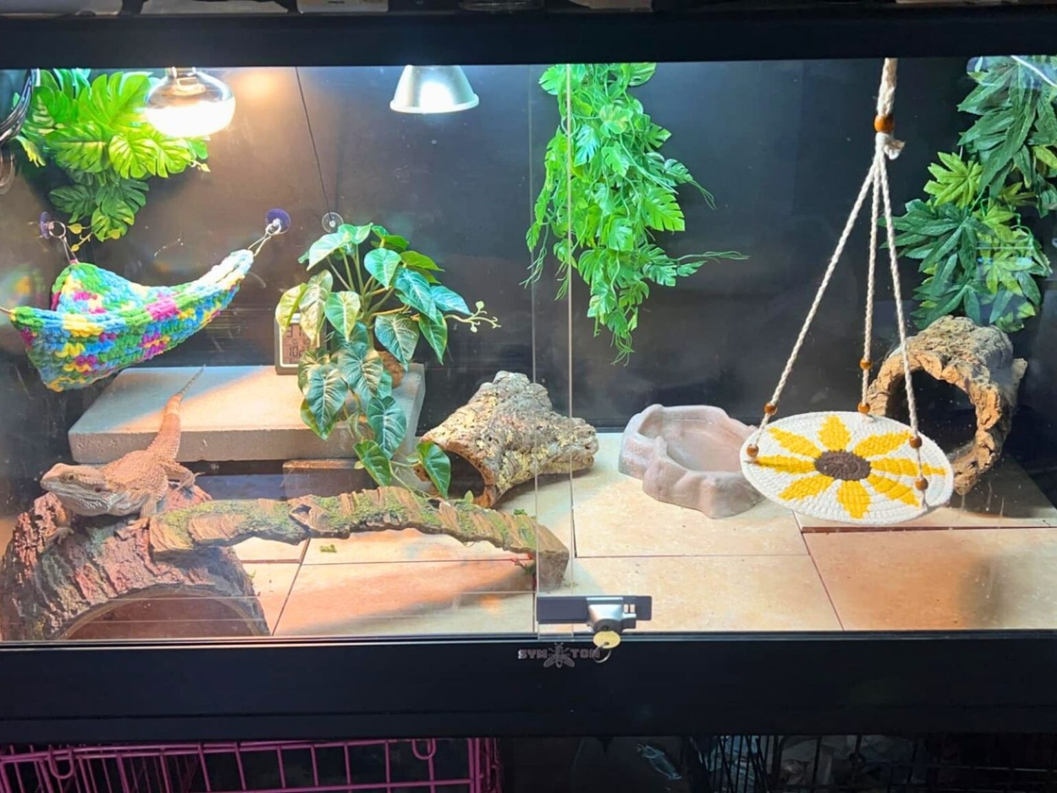 50 Best Bearded Dragon Enclosure Ideas - ThePetEnthusiast