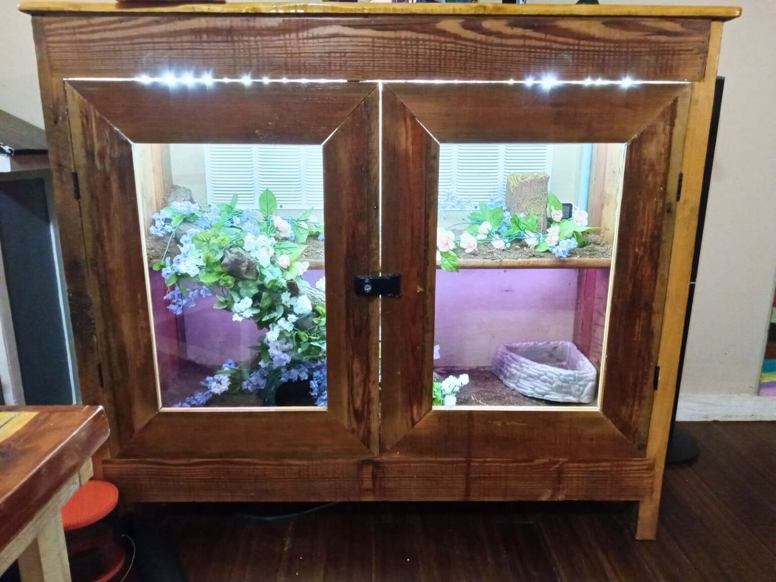 36 Ball Python Enclosure Ideas for Any Budget