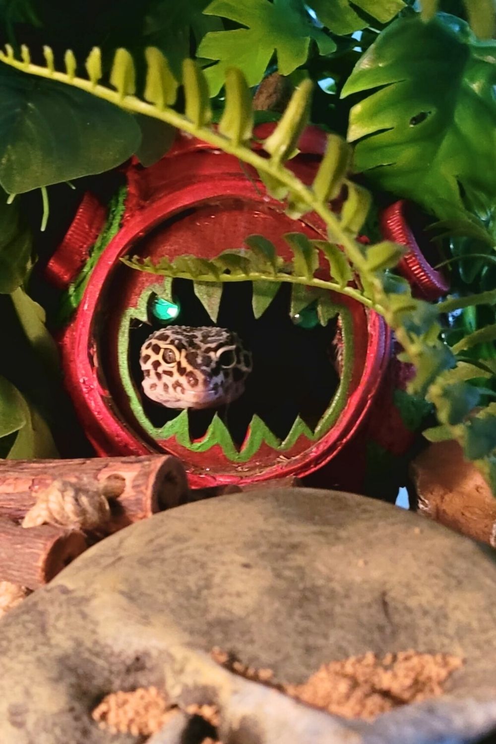 17 Best Toys For Leopard Geckos (MY GIRL LOVES #12)