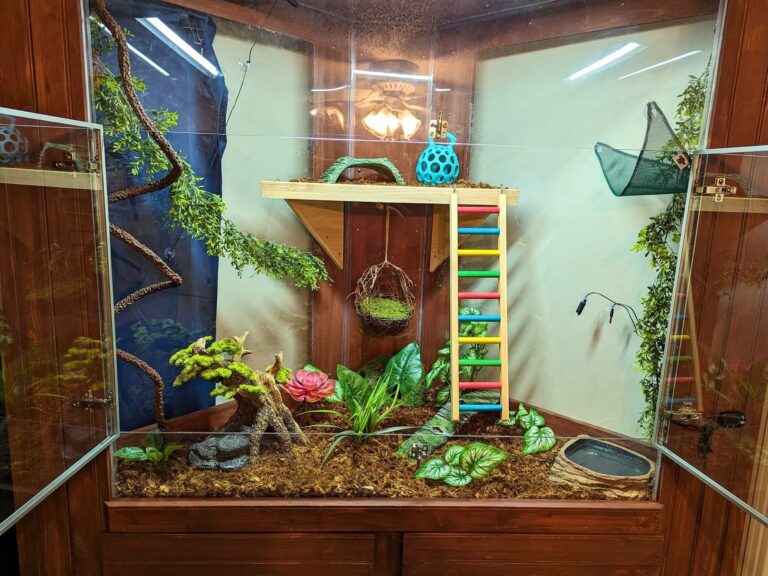 30 Striking Corn Snake Enclosure Ideas