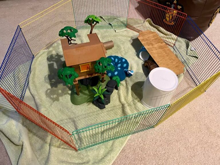 17 Enrichment Ideas For Your Leopard Gecko