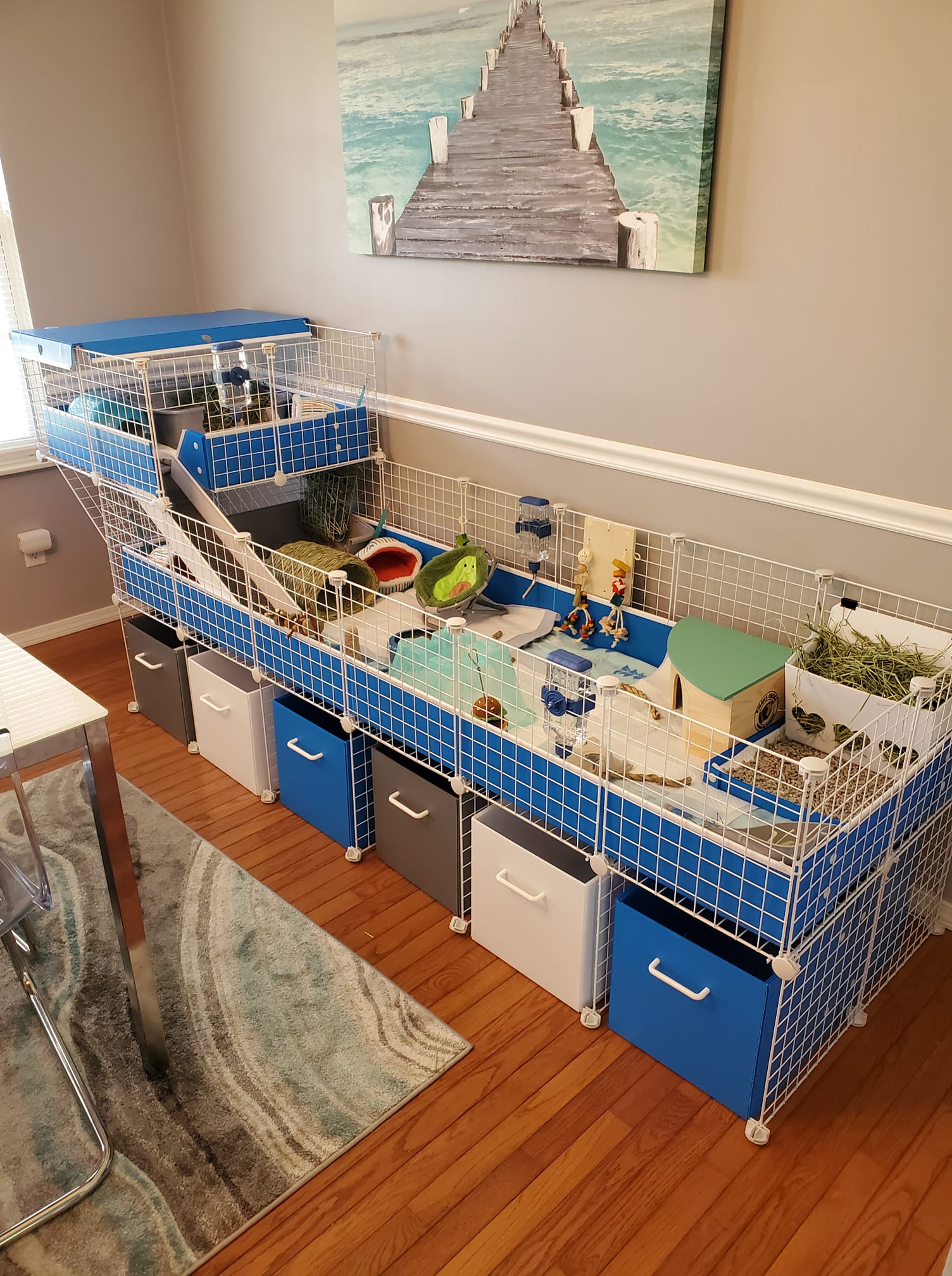21 Creative Guinea Pig Cage Ideas - ThePetEnthusiast