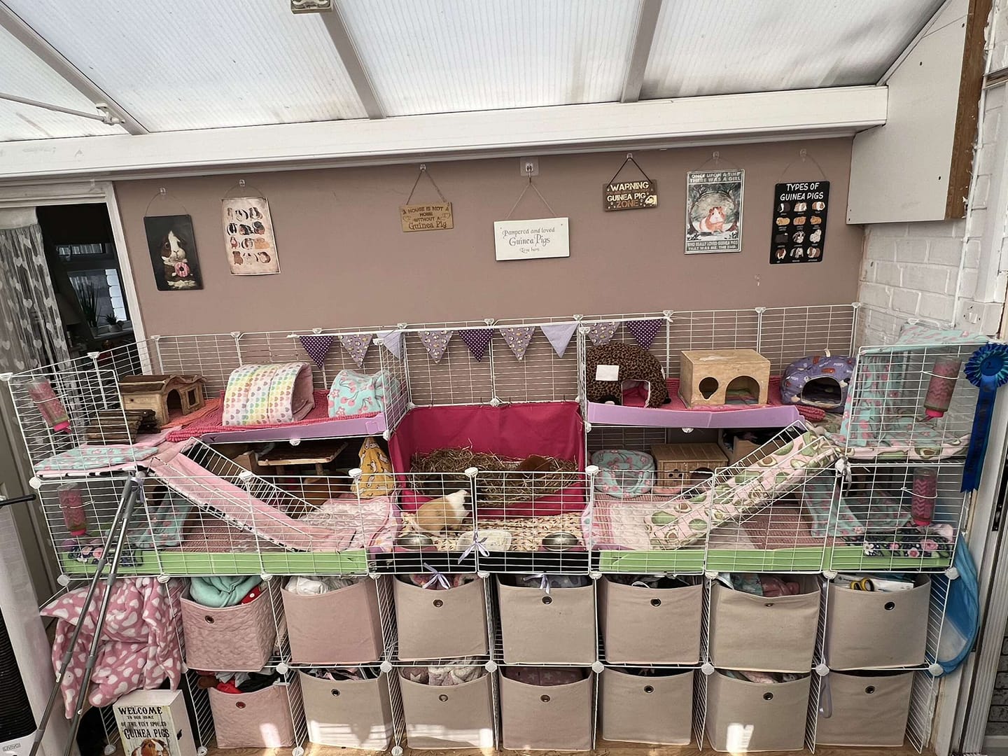 21 Creative Guinea Pig Cage Ideas - ThePetEnthusiast