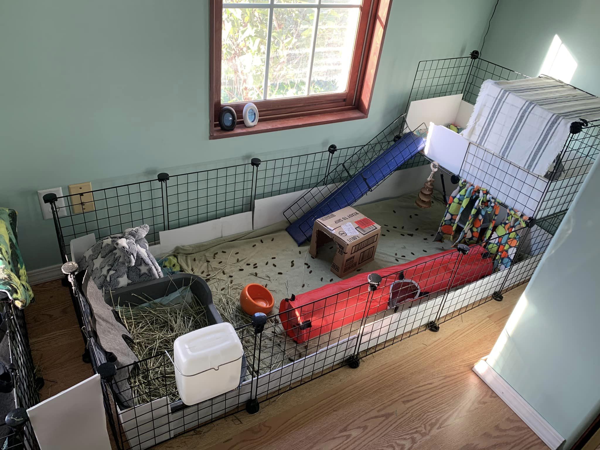 21 Creative Guinea Pig Cage Ideas - ThePetEnthusiast