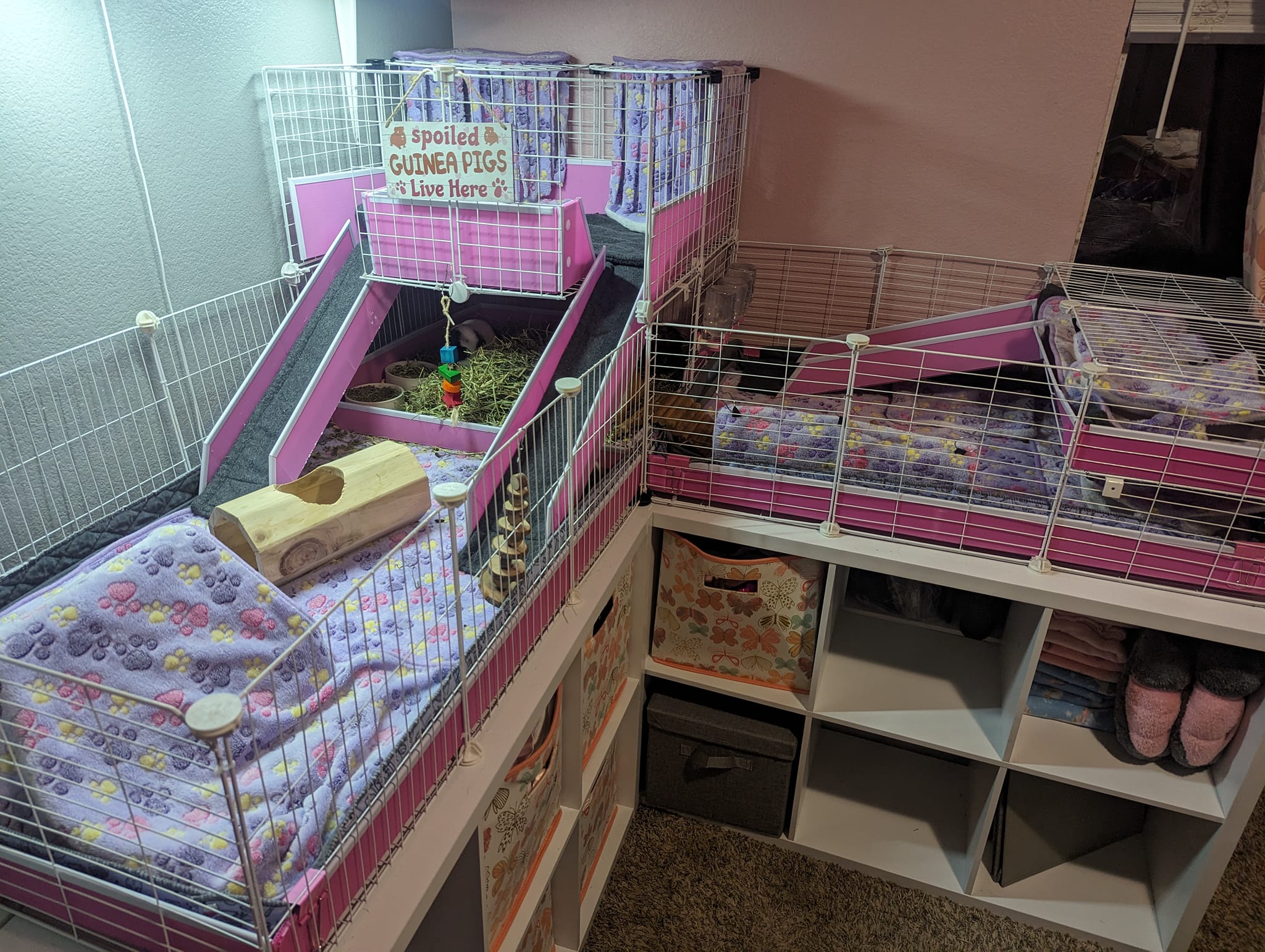 21 Creative Guinea Pig Cage Ideas - ThePetEnthusiast