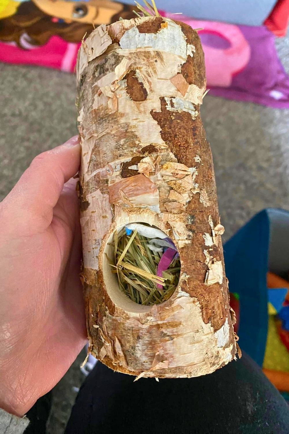 23 Fun Hamster Enrichment Ideas - ThePetEnthusiast