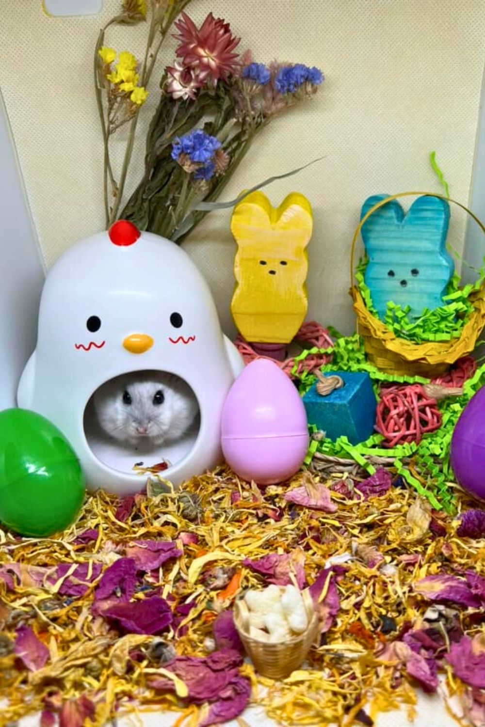 23 Fun Hamster Enrichment Ideas - ThePetEnthusiast