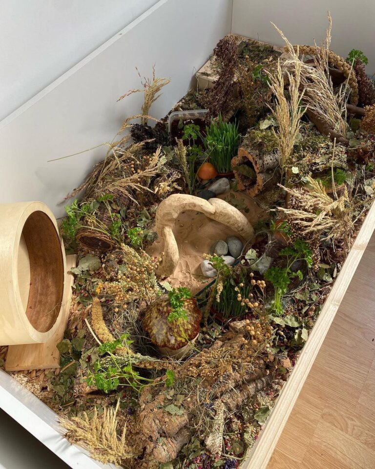 35 Amazing Hamster Cage Ideas - ThePetEnthusiast