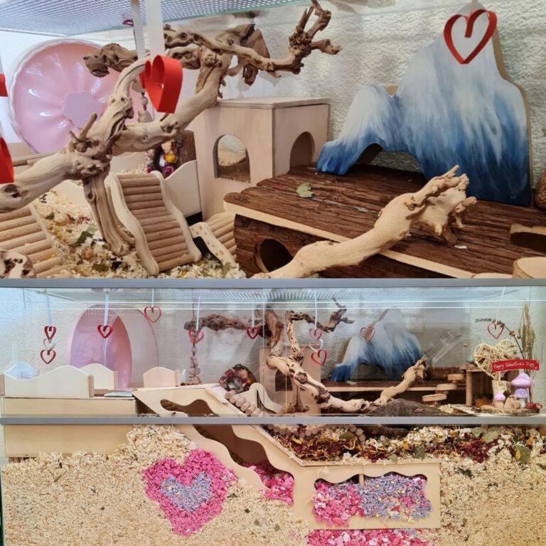 35 Amazing Hamster Cage Ideas - ThePetEnthusiast