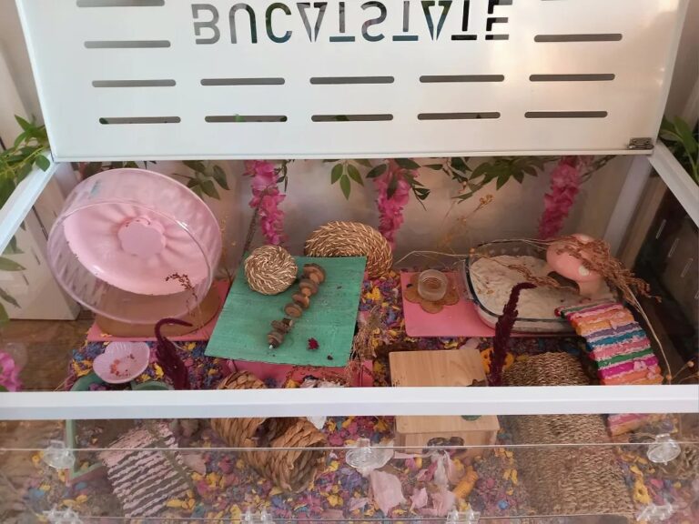 35 Amazing Hamster Cage Ideas - ThePetEnthusiast