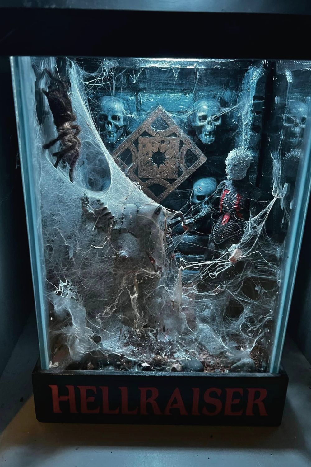 20 Arboreal Tarantula Enclosure Ideas