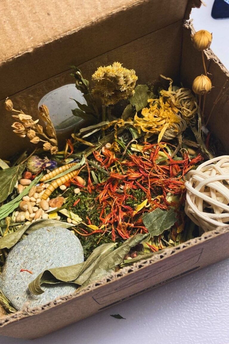 23 Fun Hamster Enrichment Ideas - ThePetEnthusiast