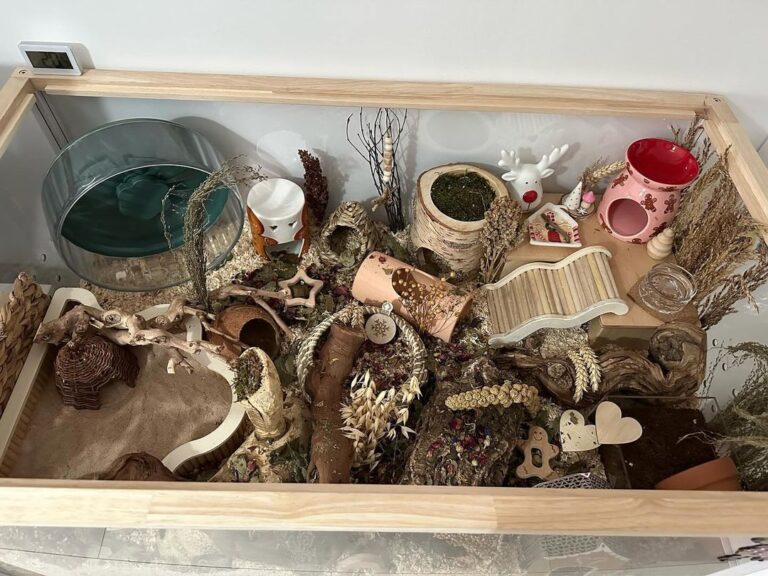 35 Amazing Hamster Cage Ideas - ThePetEnthusiast