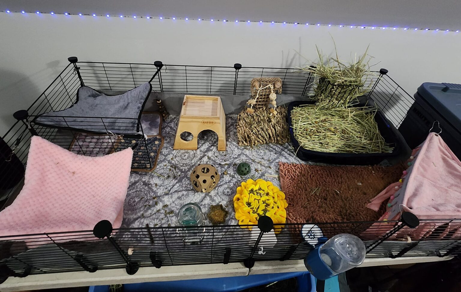21 Creative Guinea Pig Cage Ideas - ThePetEnthusiast