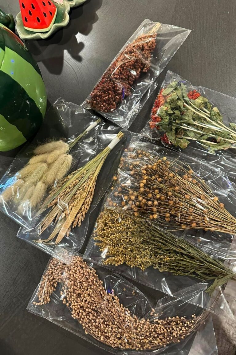 23 Fun Hamster Enrichment Ideas - ThePetEnthusiast