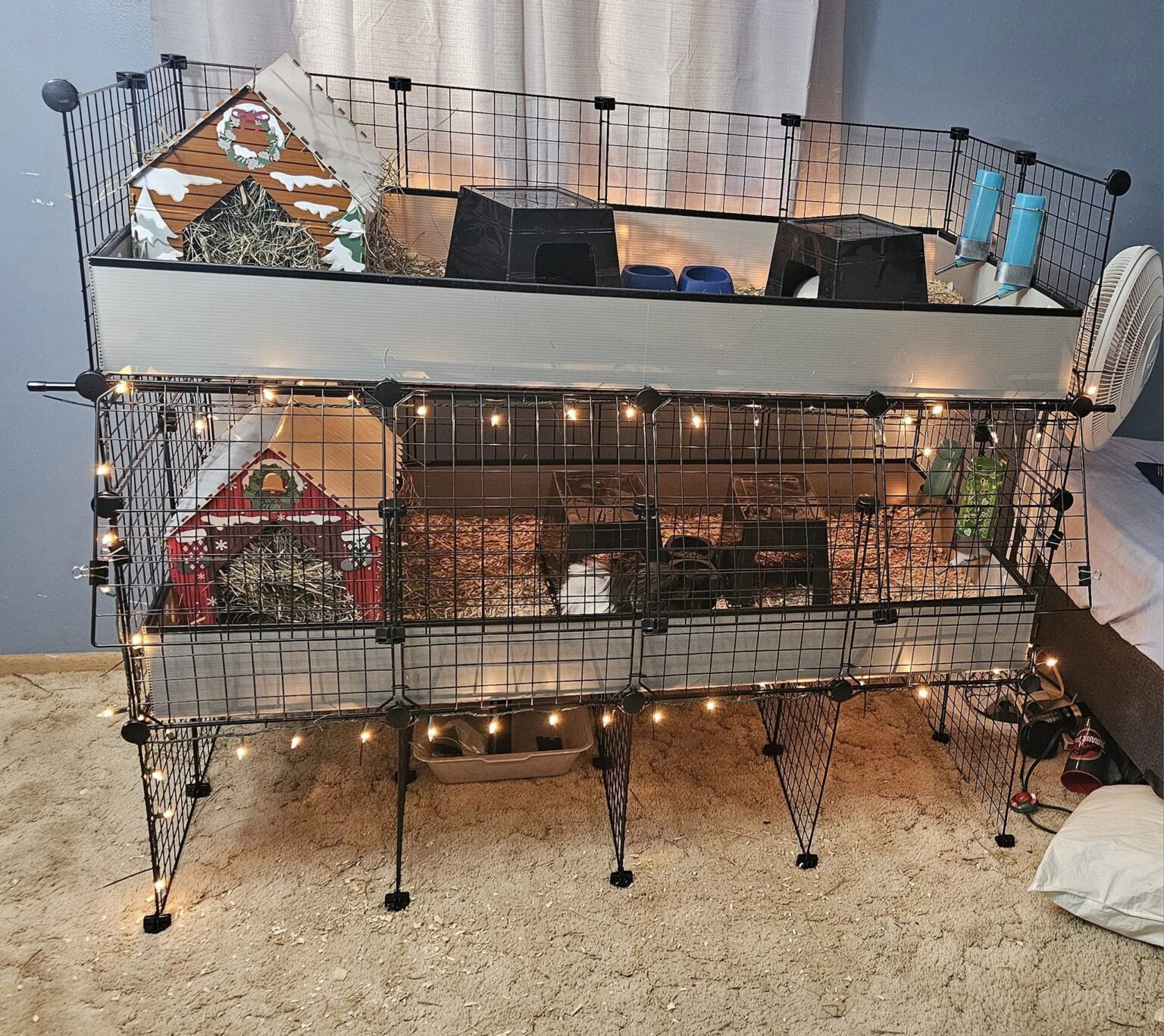 21 Creative Guinea Pig Cage Ideas - ThePetEnthusiast