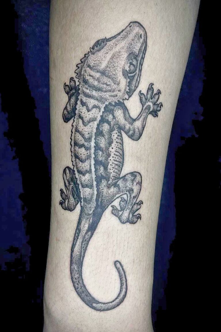 31 Unique Crested Gecko Tattoo Ideas - ThePetEnthusiast