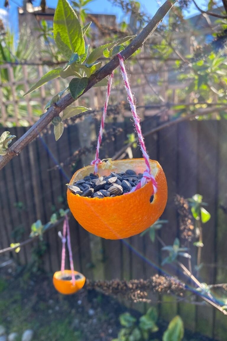57 Fun DIY Bird Feeder Ideas - ThePetEnthusiast