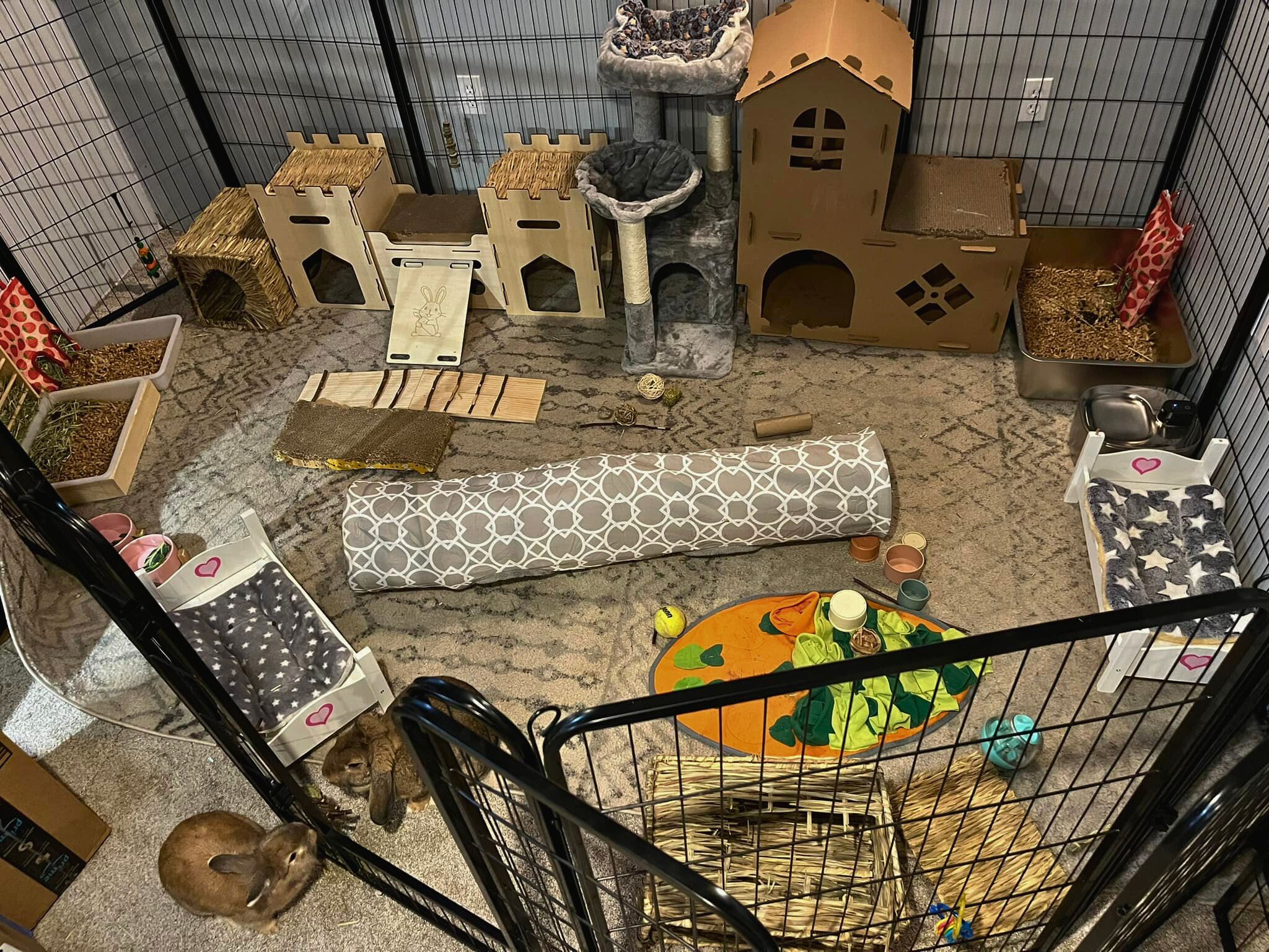 23 Unique Rabbit Indoor Cage Ideas - ThePetEnthusiast