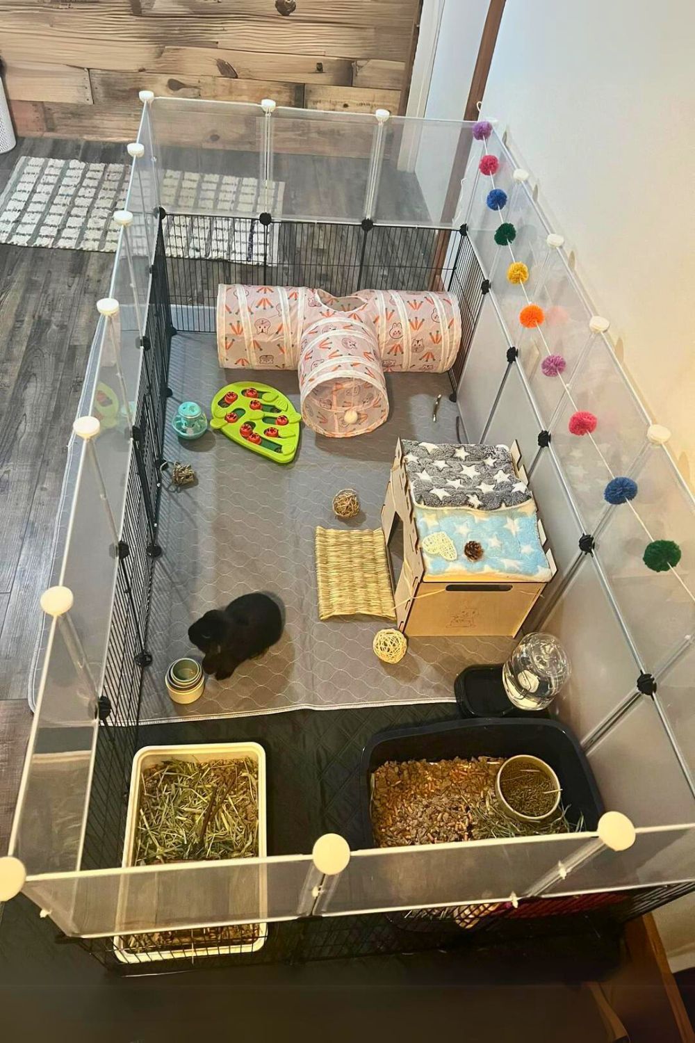 23 Unique Rabbit Indoor Cage Ideas - ThePetEnthusiast