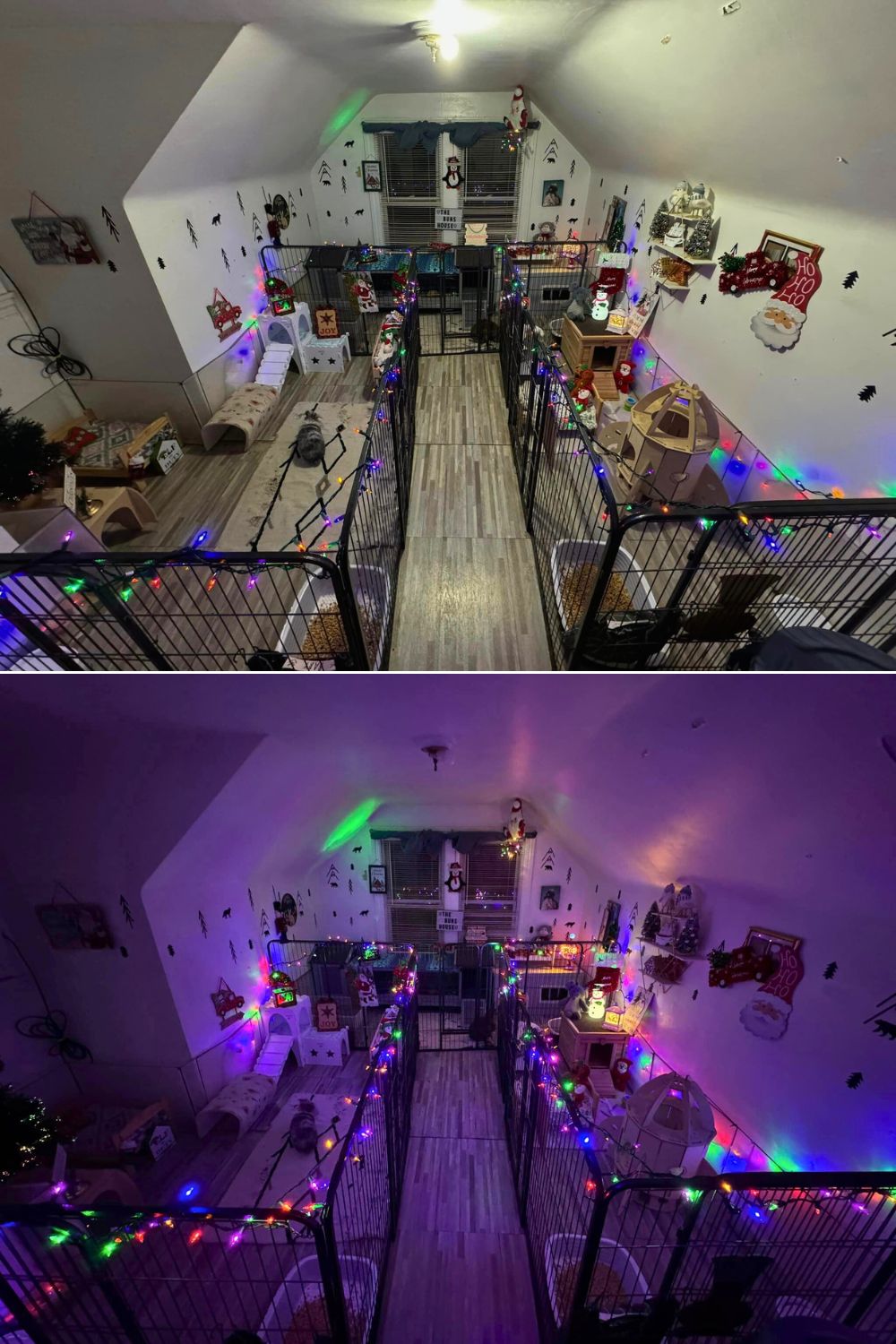 23 Unique Rabbit Indoor Cage Ideas - ThePetEnthusiast