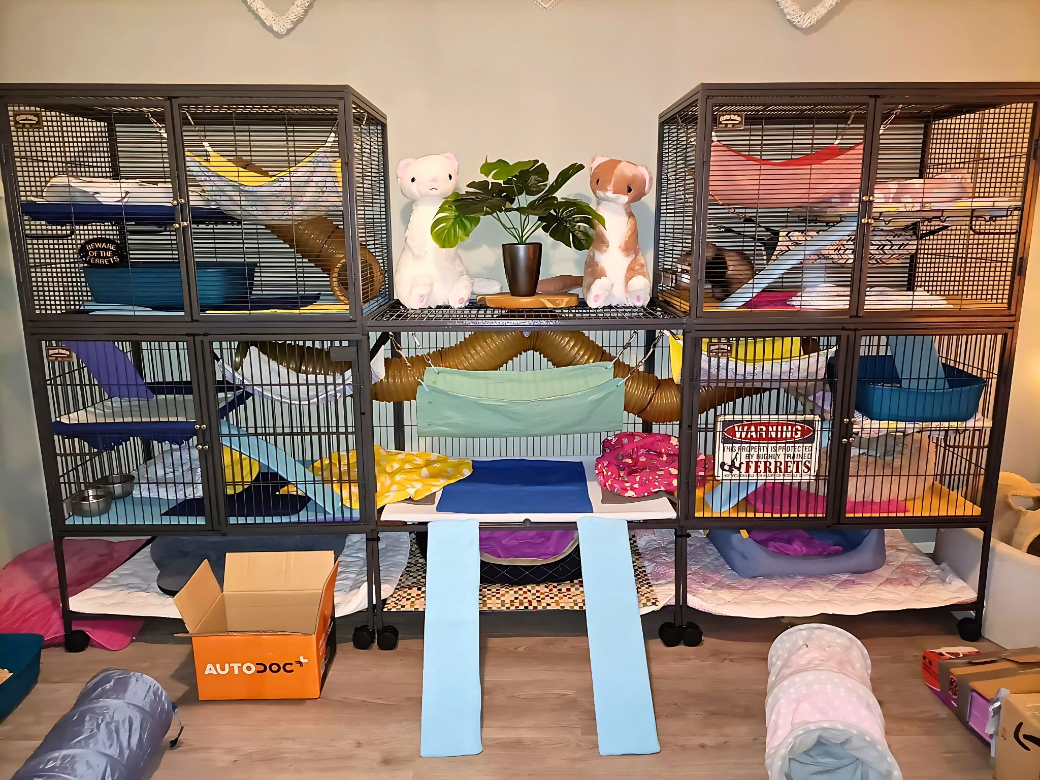 24 Amazing Ferret Cage Ideas - ThePetEnthusiast