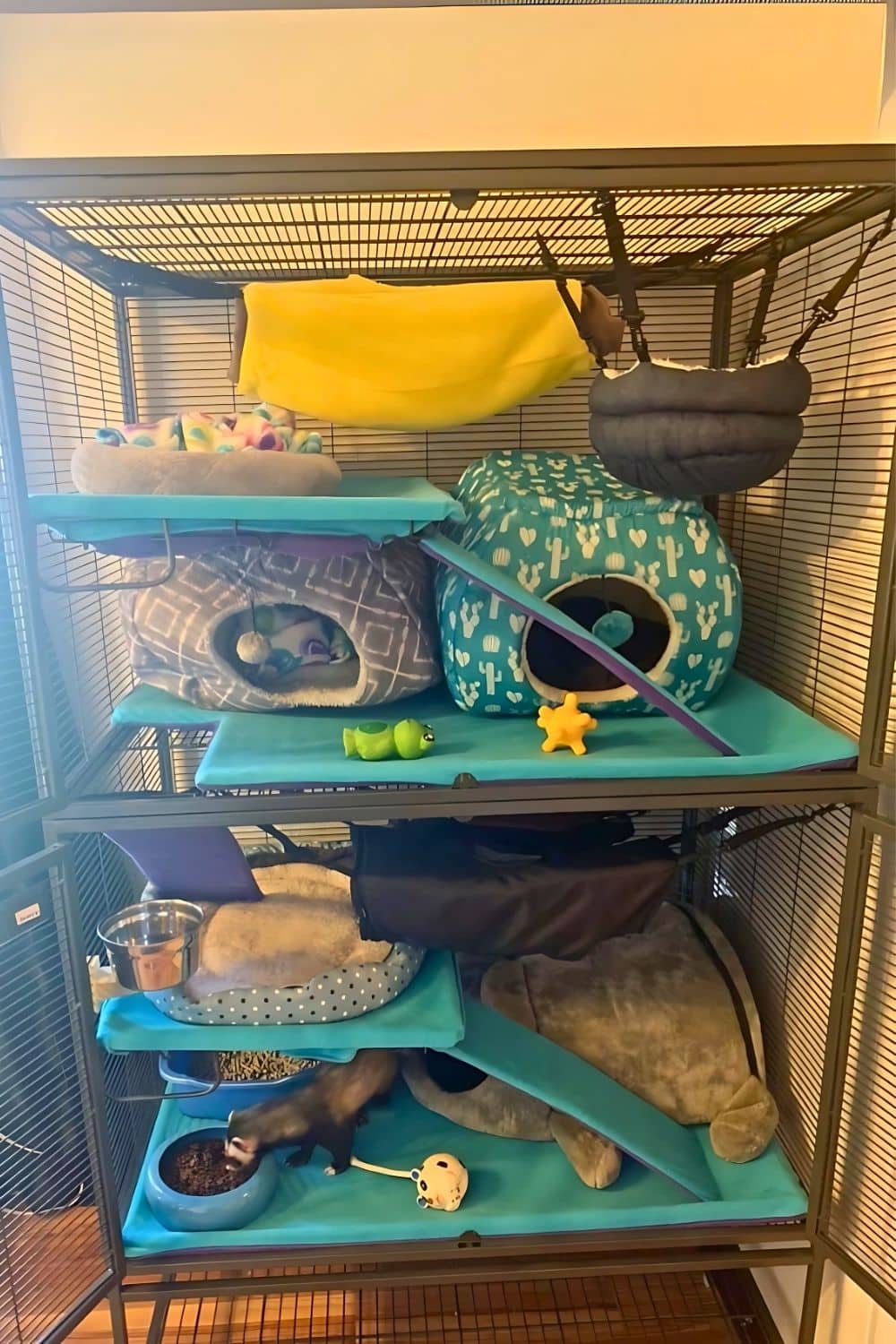 24 Amazing Ferret Cage Ideas - ThePetEnthusiast