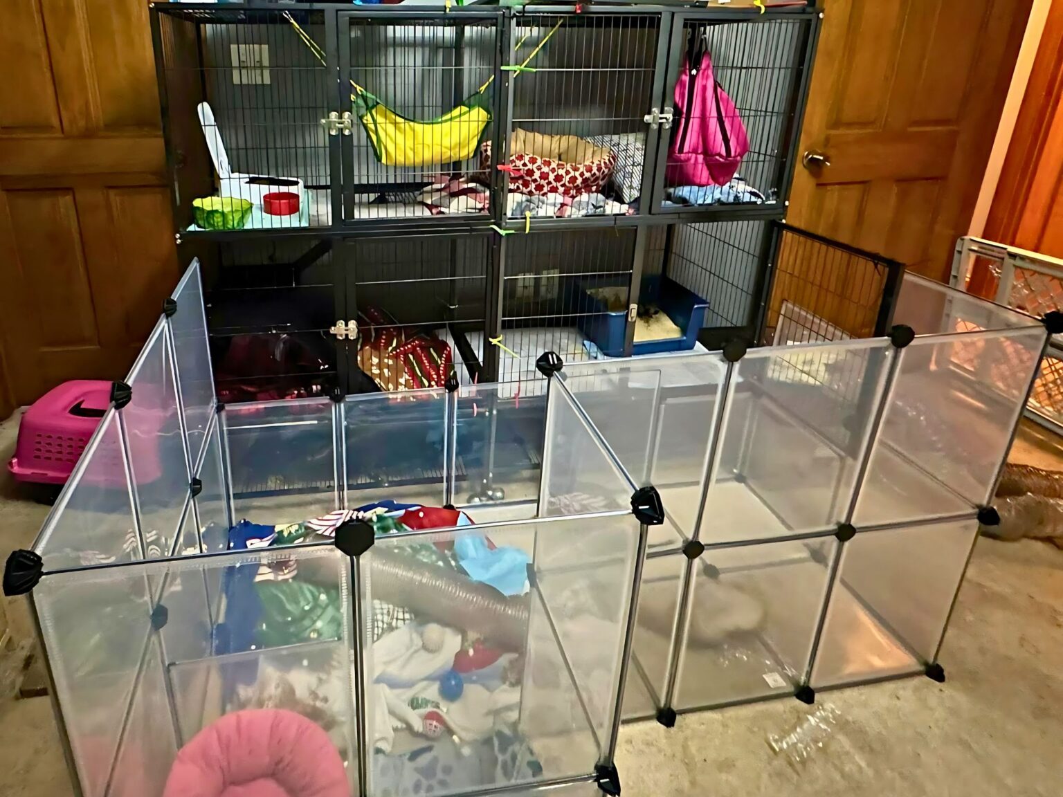 24 Amazing Ferret Cage Ideas - ThePetEnthusiast