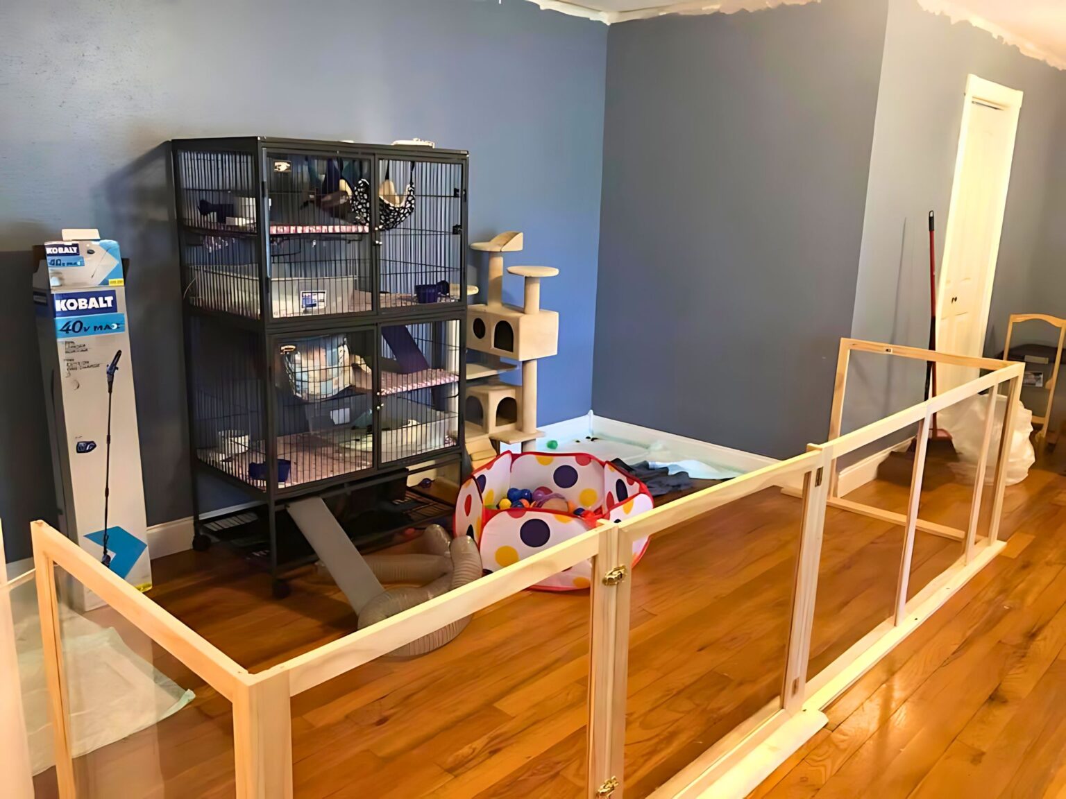 24 Amazing Ferret Cage Ideas - ThePetEnthusiast