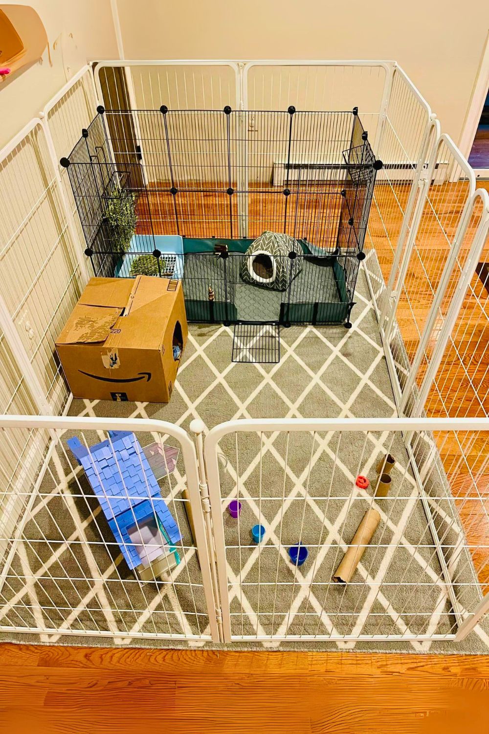 23 Unique Rabbit Indoor Cage Ideas - ThePetEnthusiast