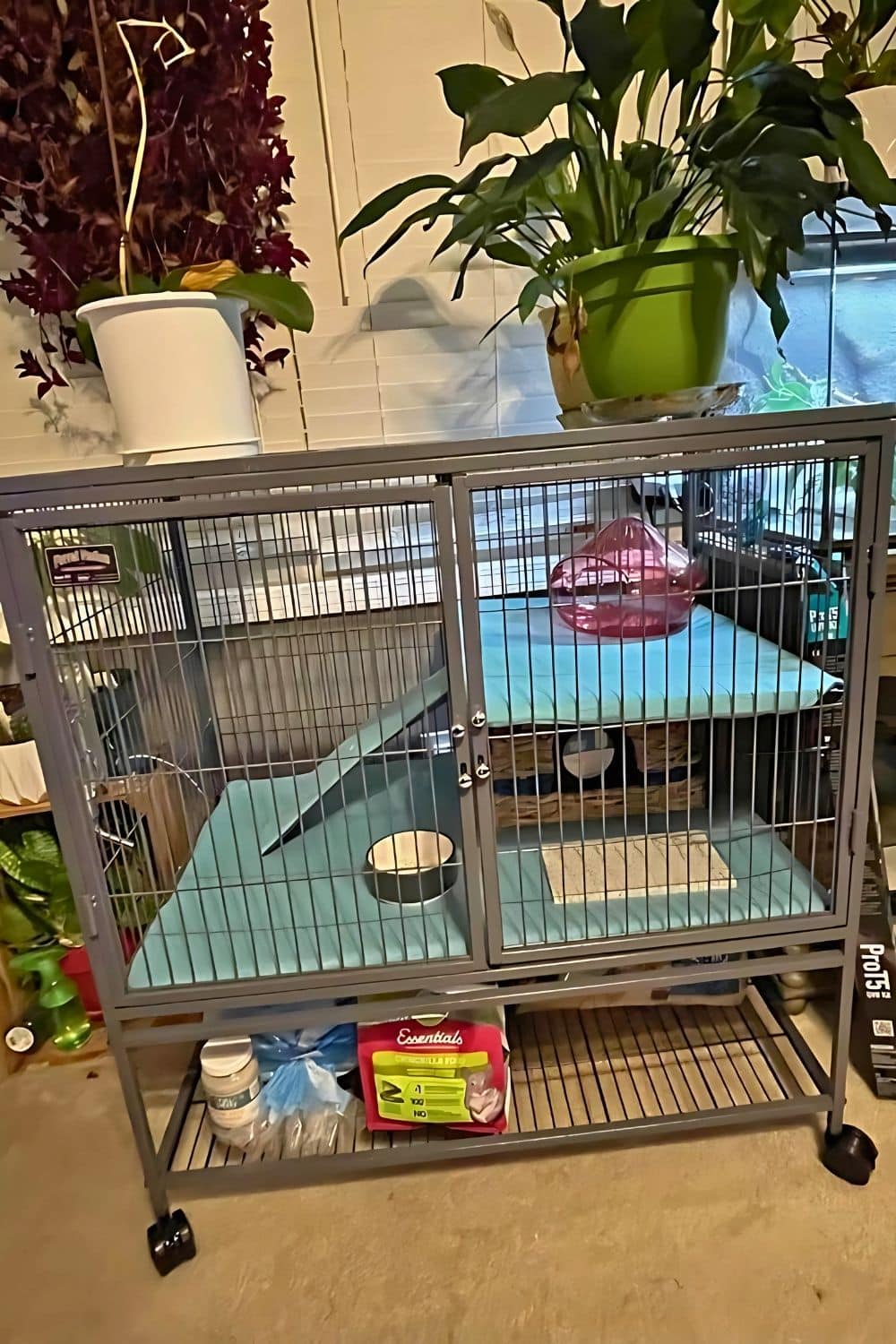 24 Amazing Ferret Cage Ideas - ThePetEnthusiast