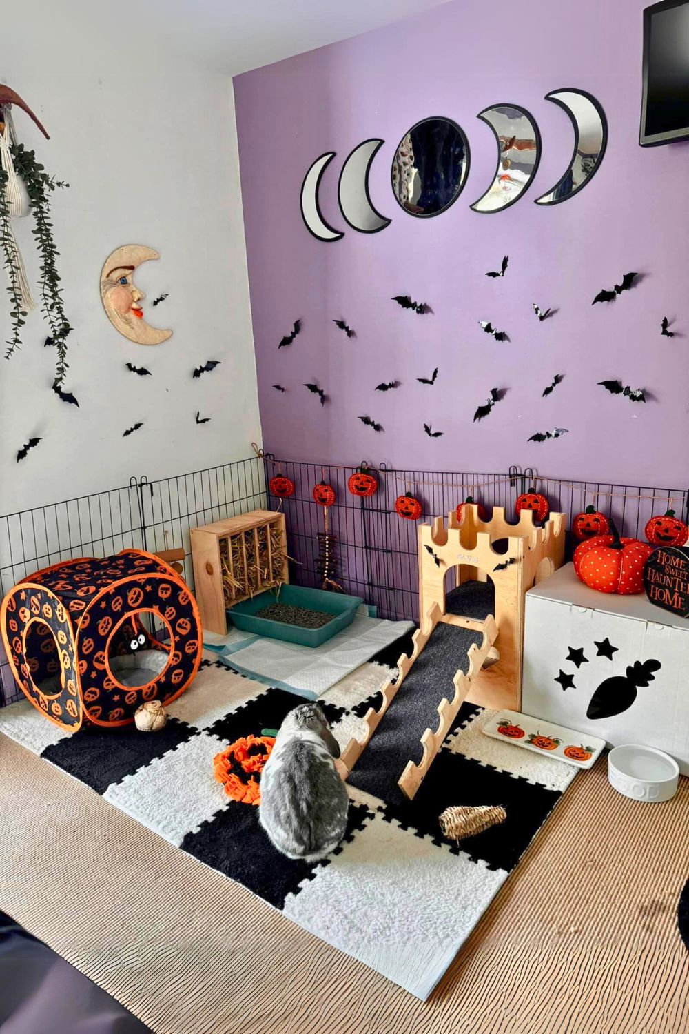 23 Unique Rabbit Indoor Cage Ideas - ThePetEnthusiast