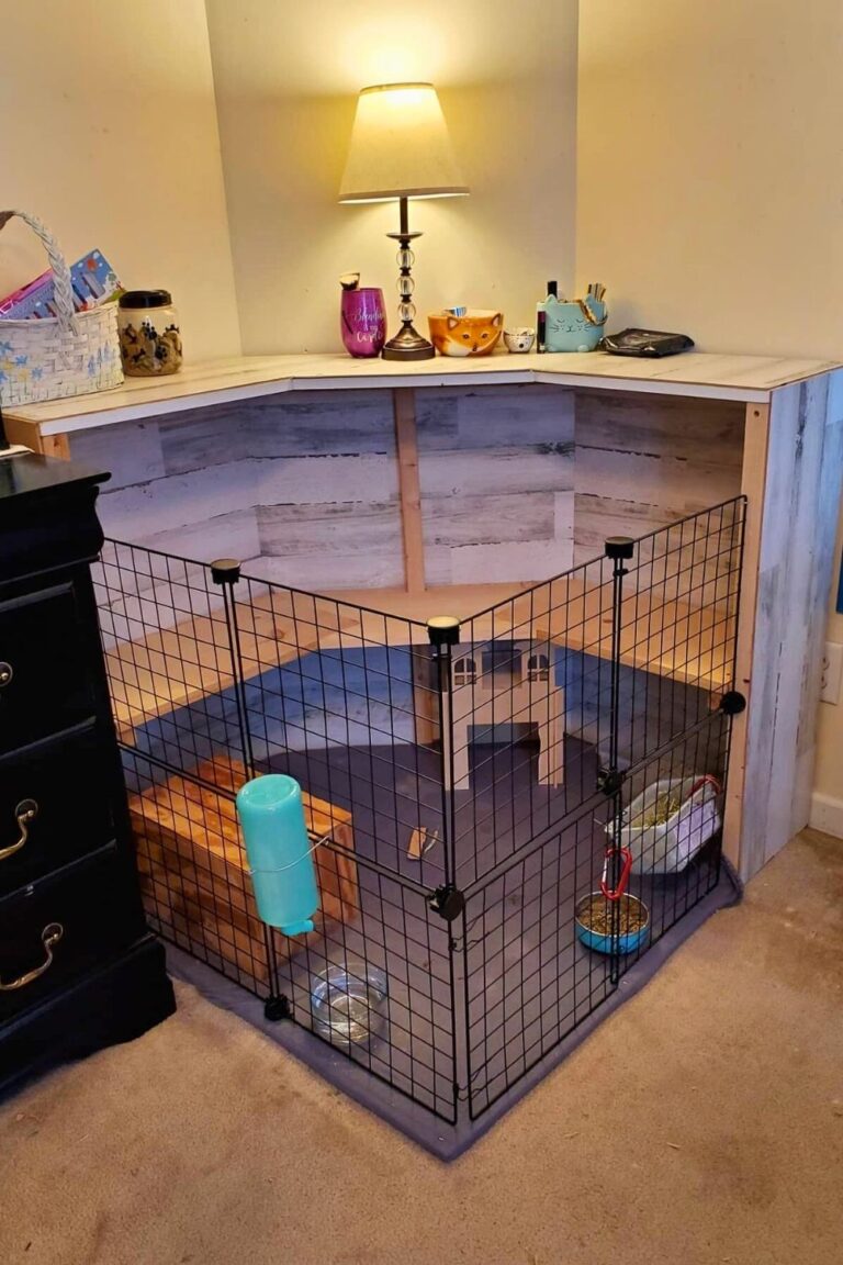 23 Unique Rabbit Indoor Cage Ideas - ThePetEnthusiast