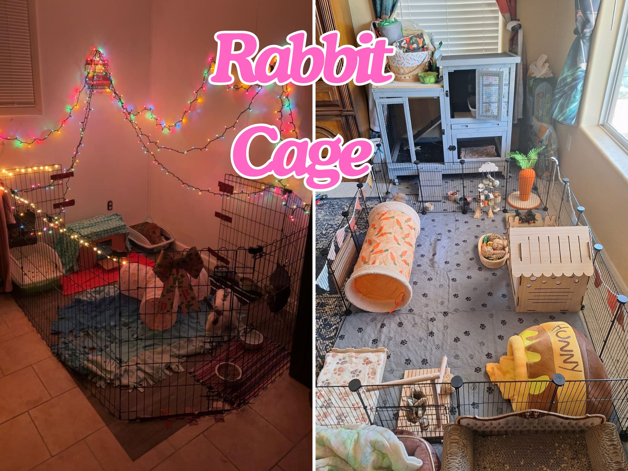 23 Unique Rabbit Indoor Cage Ideas - ThePetEnthusiast